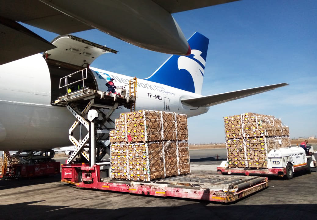 Network Airline Management Transports More Than 1000 Tons of Flowers ...